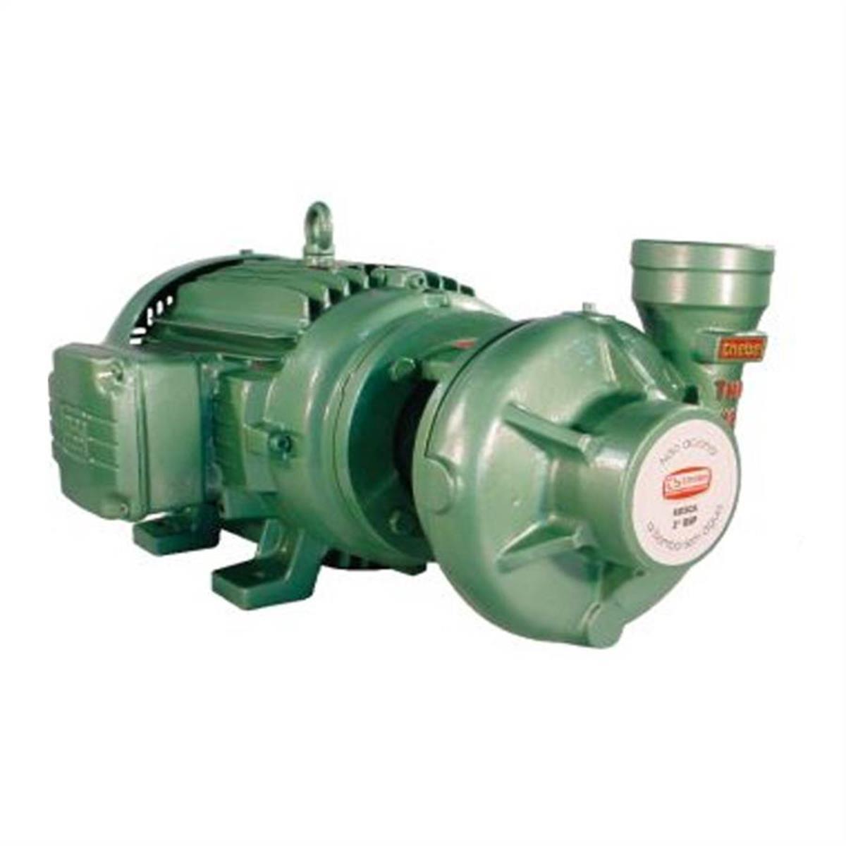 Bomba Monoestágio Thebe Thb-18 (r) 20 Cv Trifásica 220v/380v