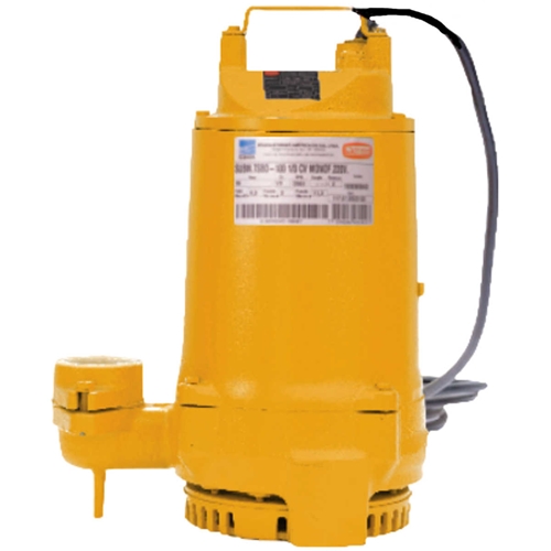 Bomba Submersível Thebe Tsbd-450 1,5 Cv Monofásica 220v