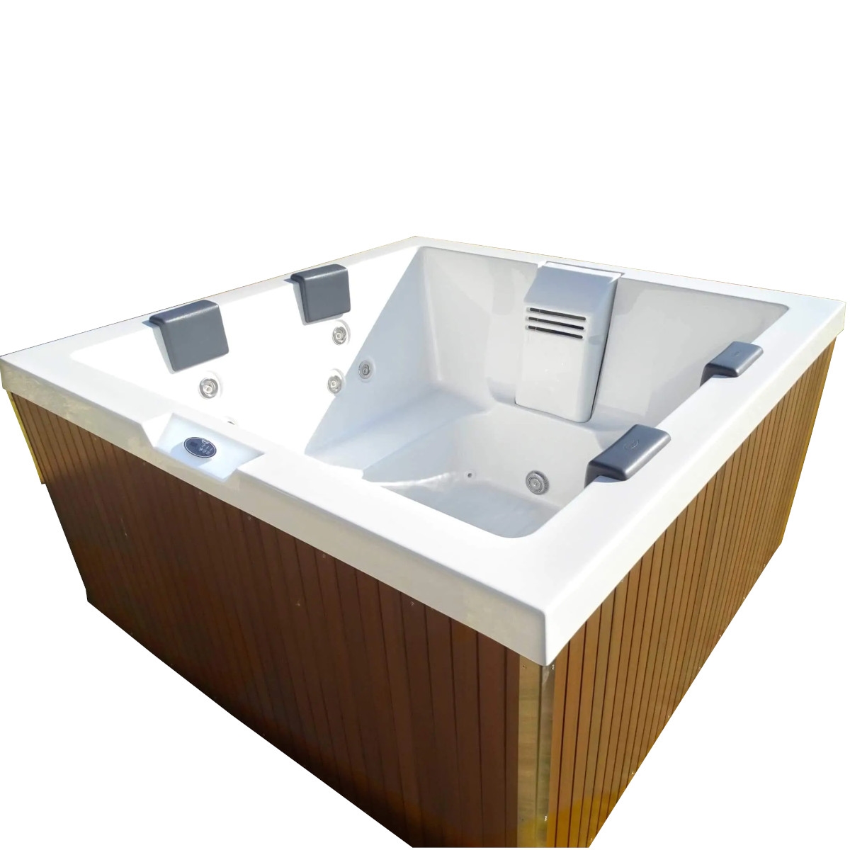 Banheira Hidromassagem Jacuzzi Spa J170 Monofasico 220V 60HZ com ...