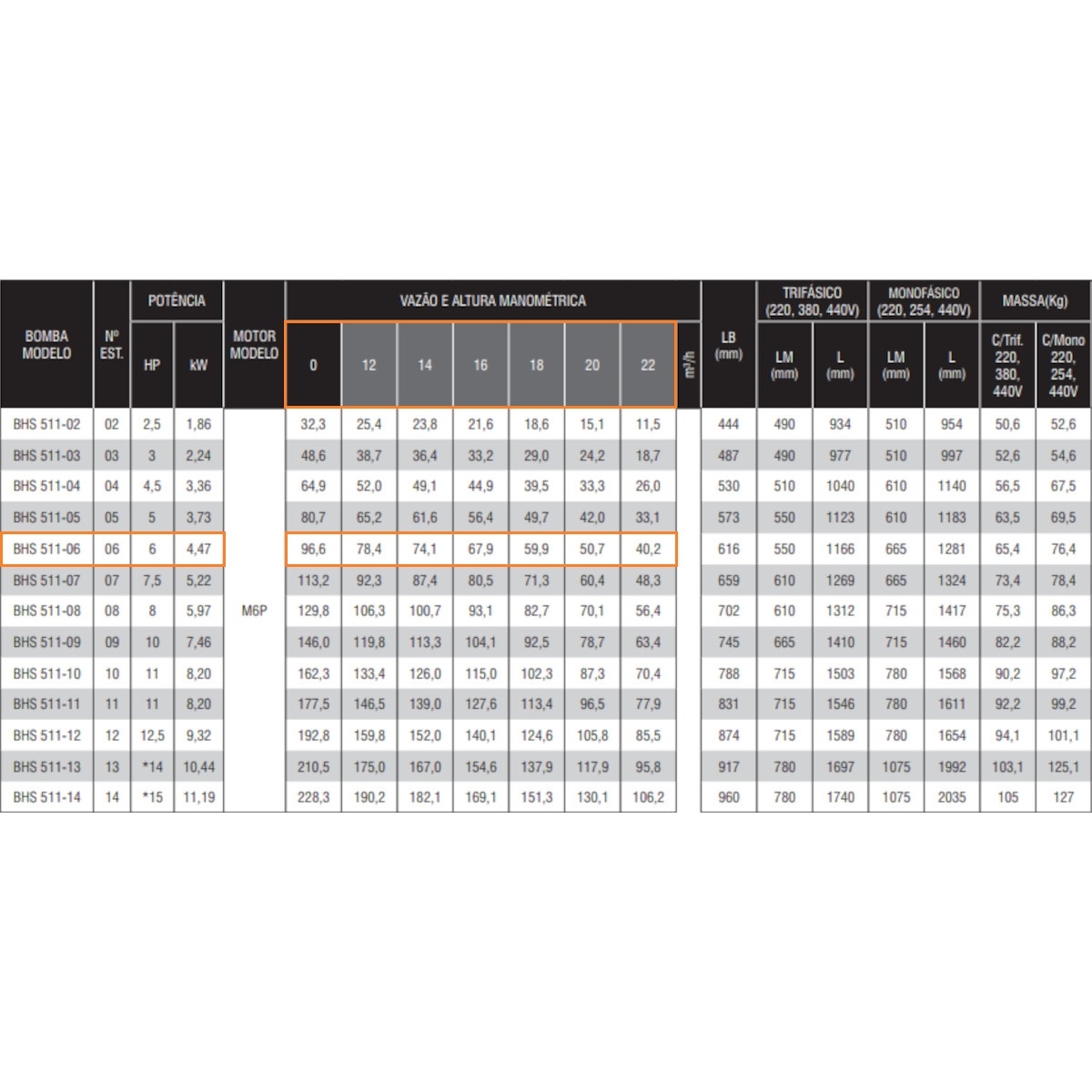 Bomba Submersa Ebara BHS 511-06 Estagios Motor M6P 6CV IP68 Trifasico 440V 60HZ